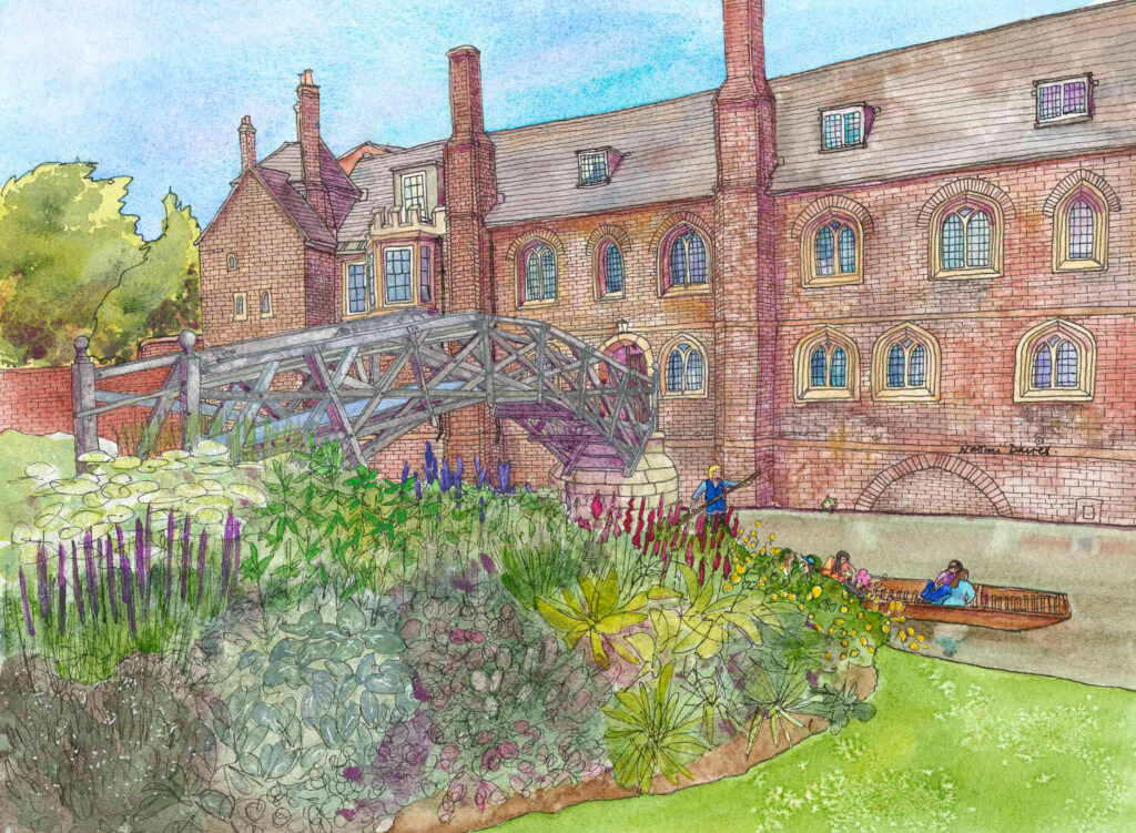 Mathematical Bridge – Naomi Davies Art