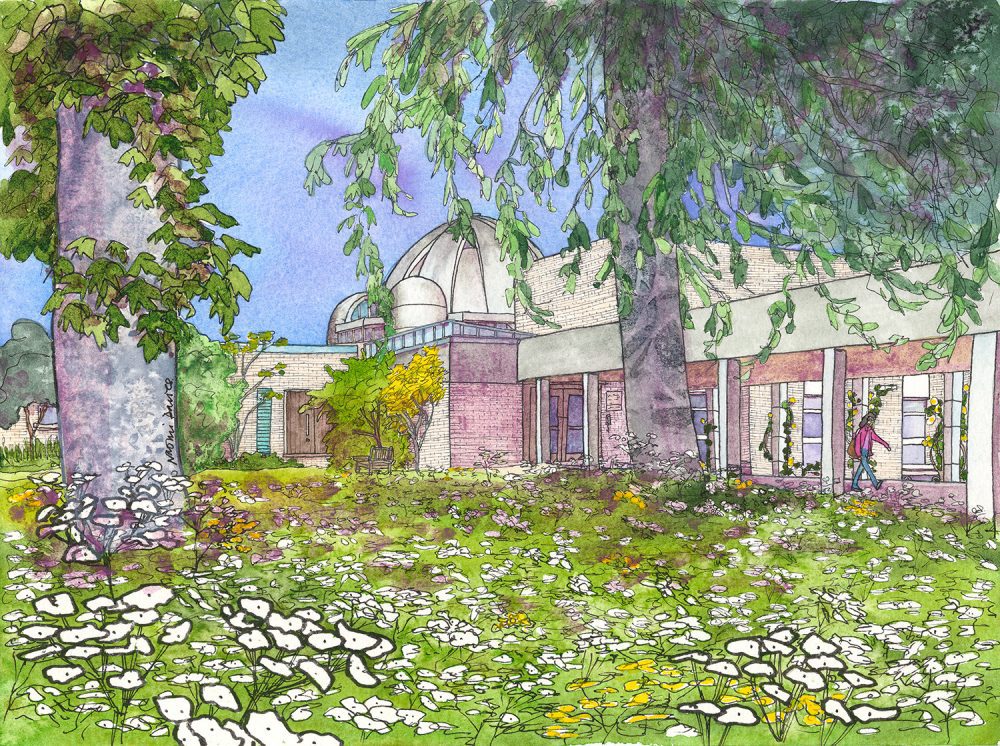 Murray Edwards College – Naomi Davies Art